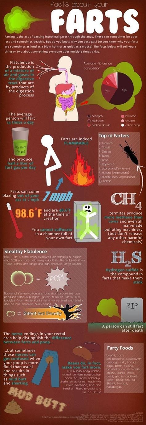 30 Crazy Facts About Farts You Probably Didnt Know Health And Love Page