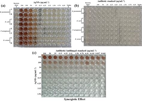 A Antimicrobial Activity Of Agnps B Antimicrobial Activity Of Standard
