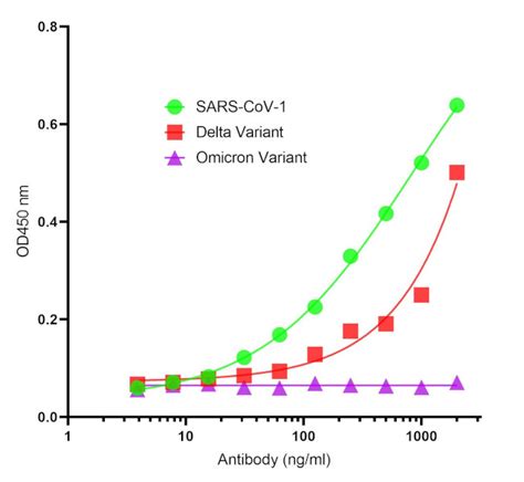 Sars Cov 2 Spike Protein S2 Recombinant Monoclonal Antibody P1a9 Ma5 49344