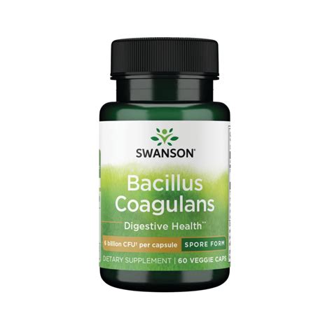 Top 6 Best Bacillus Coagulans Probiotic Supplements in 2025 - Straight.com