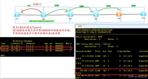 路由 ospf lsa介绍、1~7类lsa详细介绍 ospf lsa类型详解 csdn博客