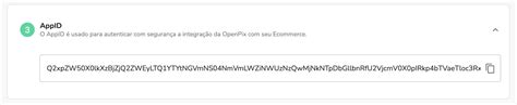 Integrando Vtex Na Openpix Openpix Developers