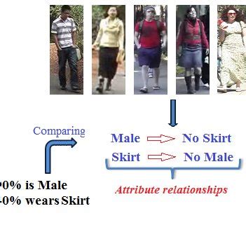 Defining Attribute Relationships Download Scientific Diagram