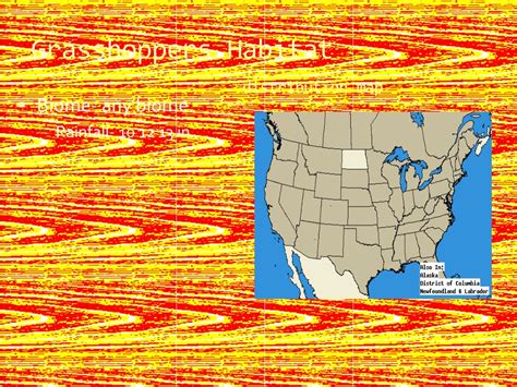 Ppt Grasshopper Powerpoint Presentation Free Download Id 2619590