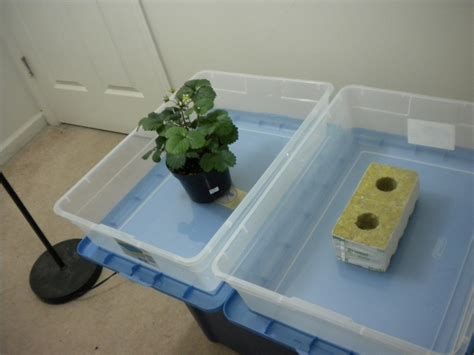 Guide Setting Up A Simple Drain Table Part 1 Hydroponic Economics