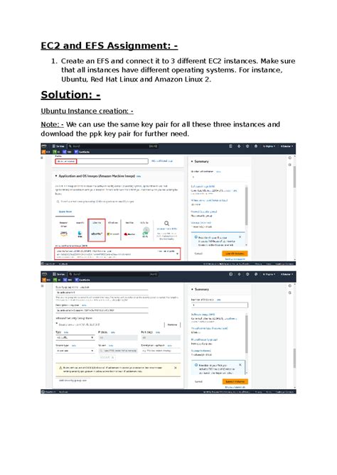 ec2 and efs assignment 3 ec2 and efs assignment create an efs
