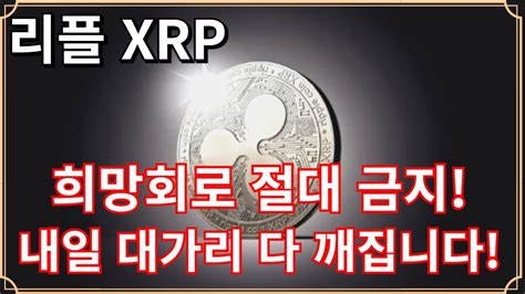 리플 홀딩 잘 하고 계시죠이제부터 리플 시작합니다 Youtube
