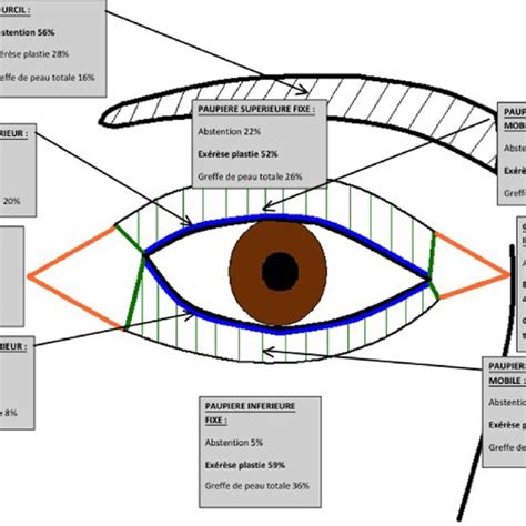 Grading Of Severity Of Lower Lid Ectropion Download Table