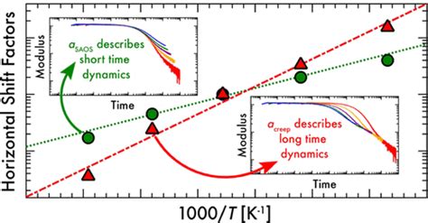 Timetemperature Superposition Of Polybutadiene Vitrimers Macromolecules