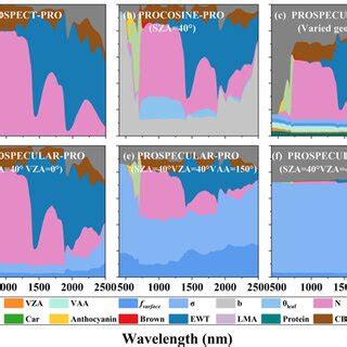 PDF PROSPECULAR A Model For Simulating Multi Angular Spectral Properties Of Leaves By