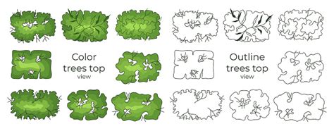 건축 평면도를위한 나무 측근 디자인 다양한 나무 관목 및 관목 조경 디자인 계획의 상면보기 벡터 일러스트레이션 건축가에 대한 스톡 벡터 아트 및 기타 이미지 Istock