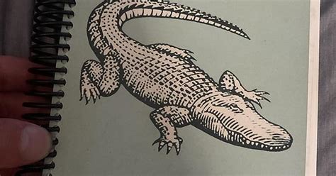 Rd2 Custom Strategy Guide Made By Me Album On Imgur