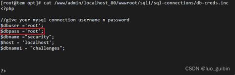 Linux搭建sqli Labs（sql注入实战）sqli Labs数据库文件 Csdn博客
