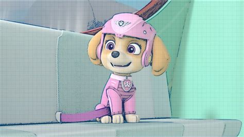 Skye Skye And Chase Paw Patrol Fan Art Fanpop