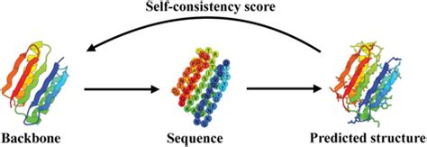 Diffusion Models In Protein Structure And Docking Yim WIREs Computational Molecular