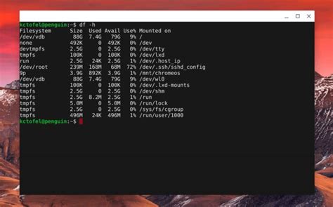 linux disk resizing on chromebooks pushed back to chrome os 81 about