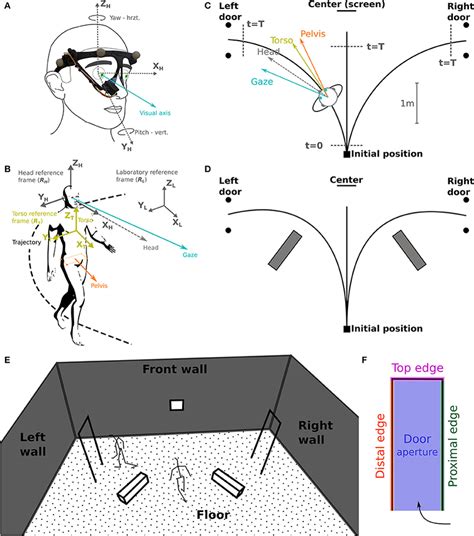 Task Schematic Representation And Coordinates Systems A The Camera