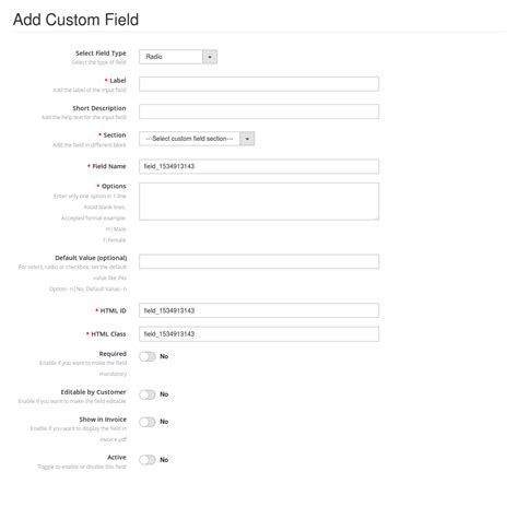 Extensión Del Campo De Registro Personalizado De Magento 2 Manual Del