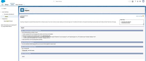 How To Translate Salesforce Custom Field Labels In Bulk Using