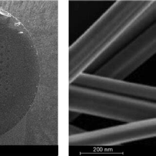 Scheme Of The Experimental Setup For The Designed Sensor Download Scientific Diagram