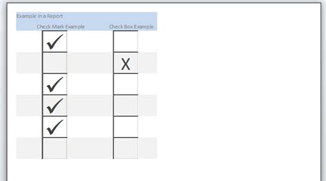 Microsoft Access Custom Large Check Boxmark Database System