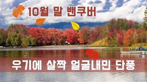 [캐나다 밴쿠버] 우기에 살짝 얼굴 내민 가을 단풍 Trout Lake Vancouver Youtube