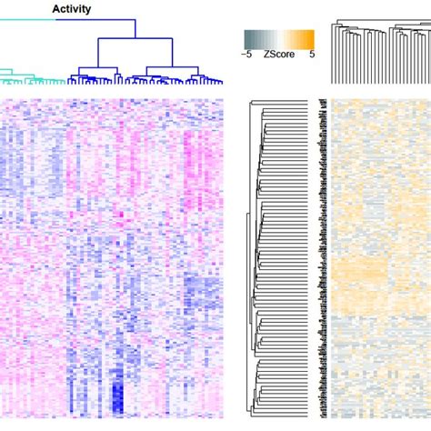 Inference Of Protein Activity For Single Cells From Gbm Mouse Model Download Scientific