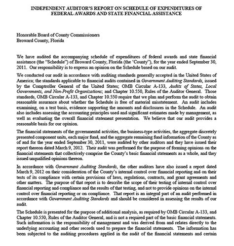 Unique Single Audit Report Example Bad Debt Recovery Income Statement