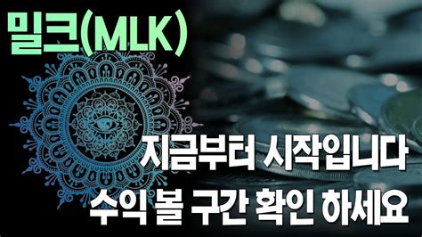 밀크 지금부터 시작입니다 수익 구간 체크 밀크 밀크코인 비트코인 Youtube