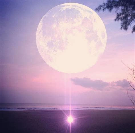 The Pill Sex Drive Moon Time Stella Muse