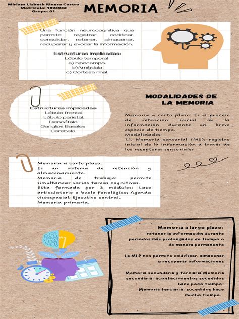 Infografia De Memoria Descargar Gratis Pdf Memoria Amnesia