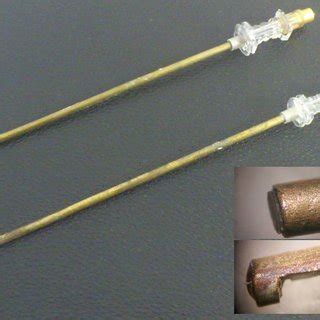 Single Element Transducers Within Needle Cases Insets Showing A Download Scientific Diagram
