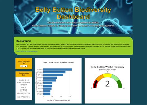 Github Fabalinbellybuttondiversity