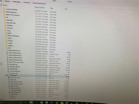 Scripthookvdot Net Crashes Game When I Try To Load A Plugin With Ragehook · Issue 707