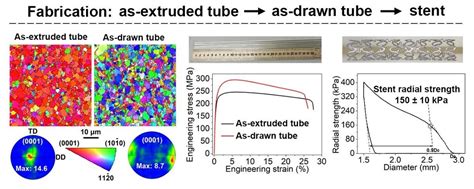 smse of sjtu published the latest research results on the processing of degradable zinc alloy
