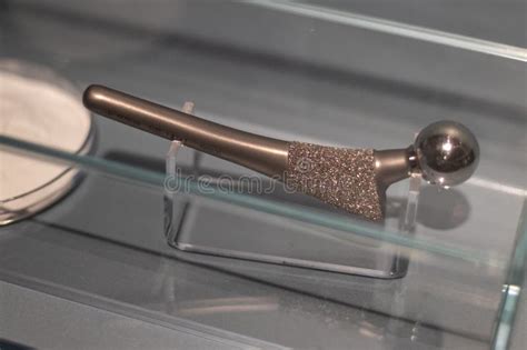 Display Of A Modern Hip Prosthesis Exhibited At The Norwegian Museum Of Science And Technology