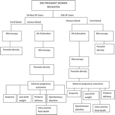 Profile Of Work Flow For Pregnant Women Recruited In The Study Download Scientific Diagram