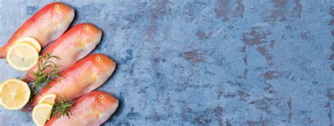 푸른 배경에 아름다운 열대 붉은 바다 물고기 진주 면도기 자이리치티 노바큘라 지중해의 해산물 생선 무늬 0명에 대한 스톡 사진 및 기타 이미지 Istock