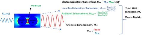 Sers Based Plasmonic Sensors For Biosensing Applications Encyclopedia