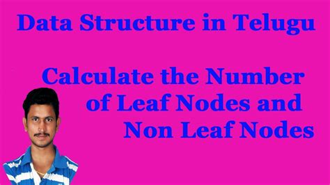calculate the number of leaf nodes and non leaf nodes data structure