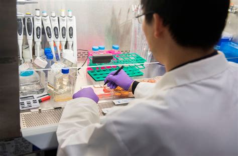 Ink Analysis Smudges Case For Forgery Of Vinland Map Scientific American