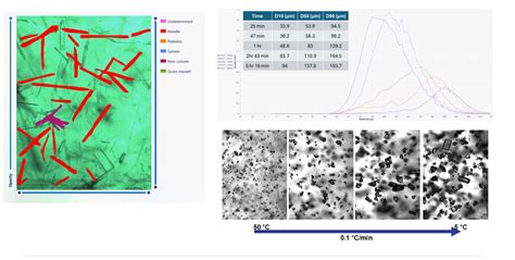 Particle Size Distribution Analysis Using Real Time Ai Detection Technobis Crystallization Systems