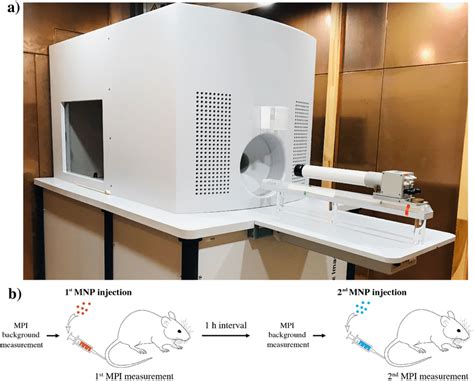 Preclinical Mpi Scanner A And Diagram Of Experimental Workflow B