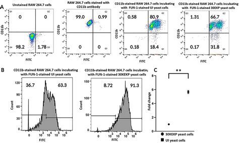 Passivating The Background Of Living Microbes With A Zwitterionic Peptide For Therapies