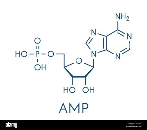 Adenosine Diphosphate Structure