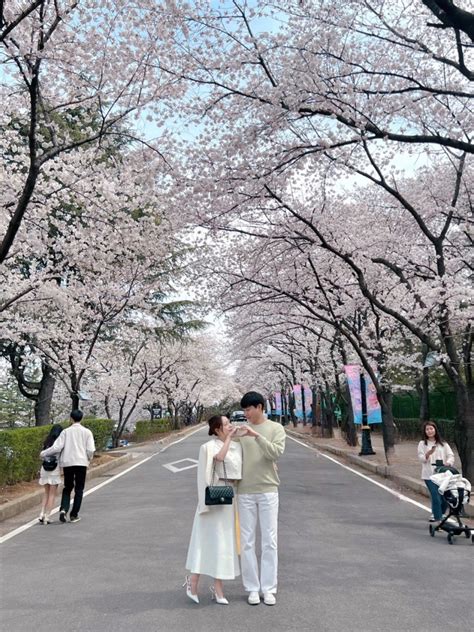 결혼 준비 W01남자친구 부모님 첫인사대구식당첫인사선물대구이월드 네이버 블로그