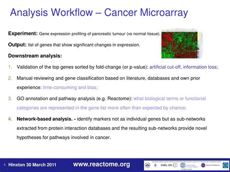 ppt reactome functional interaction fi network powerpoint