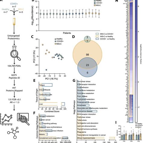 Lipidomics And Metabolomics Analysis Of Pediatric Cohorts Reveal Download Scientific Diagram