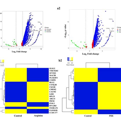 volcano plot a and heatmap b of differentially expressed genes