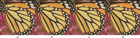 Denoising Effect Of A Picture Comes From The Set5 With A Noise Level Of